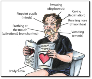 Cholinergic Toxidrome (Cholinergic crisis): A Comprehensive Overview ...