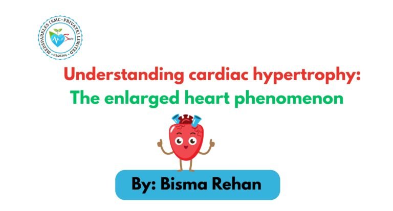 Understanding cardiac hypertrophy: The enlarged heart phenomenon ...